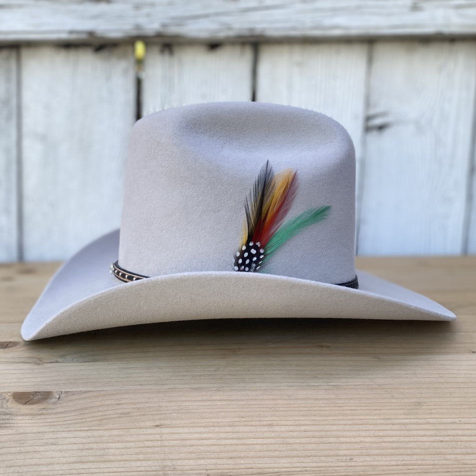 Texana 20X El Viejon Gris con Pluma Corta Rocha Hats - Texanas para ...